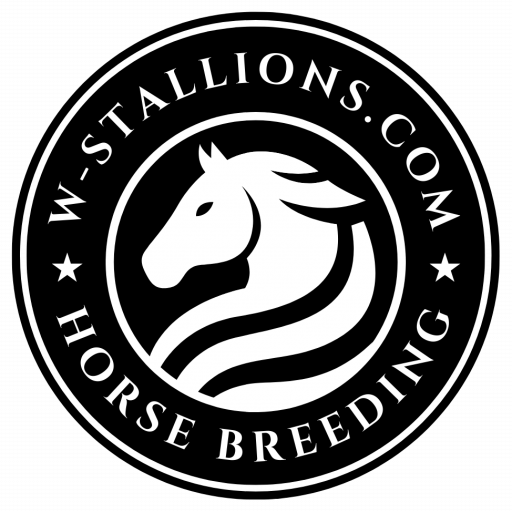 W-Stallions - Erfolgreiche Reitponyhengste Für Ihre Zucht!